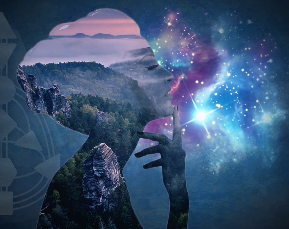 Система питания PHS в дизайне человека | Human Design Space